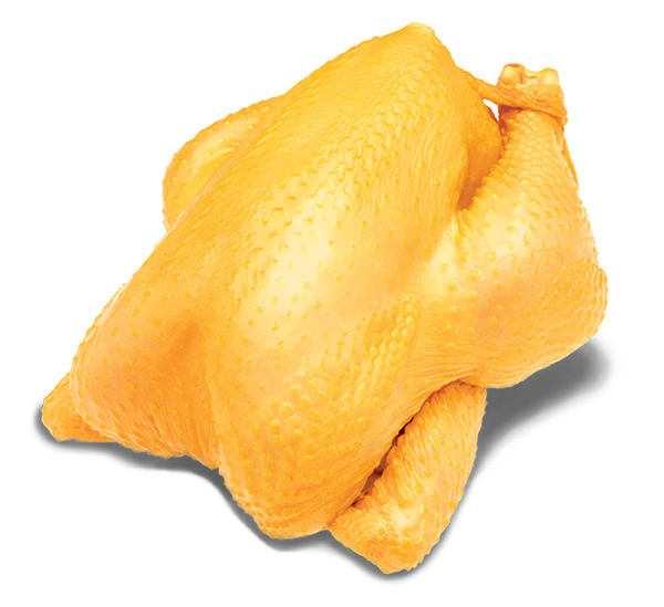 Sabropollo